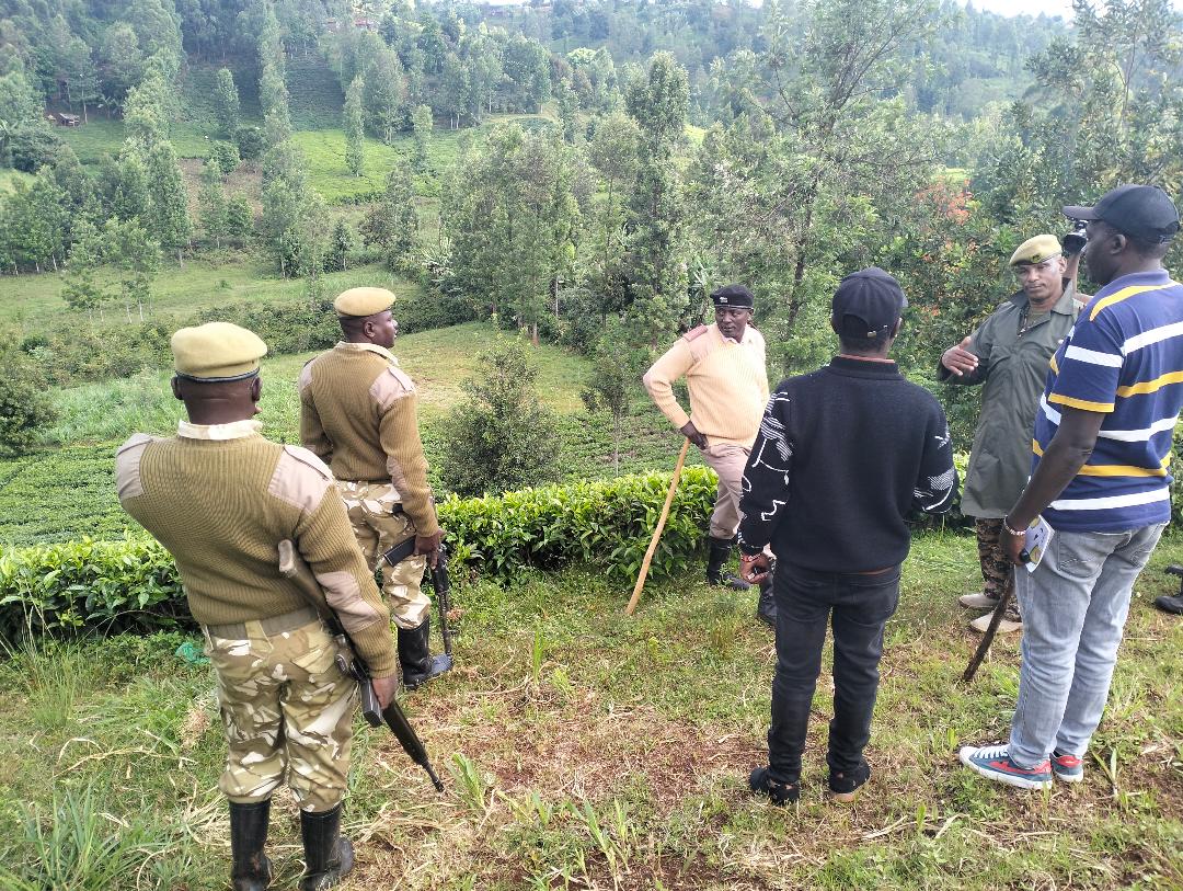 Human-wildlife conflict: KWS launches hunt for wolves ravaging central ...